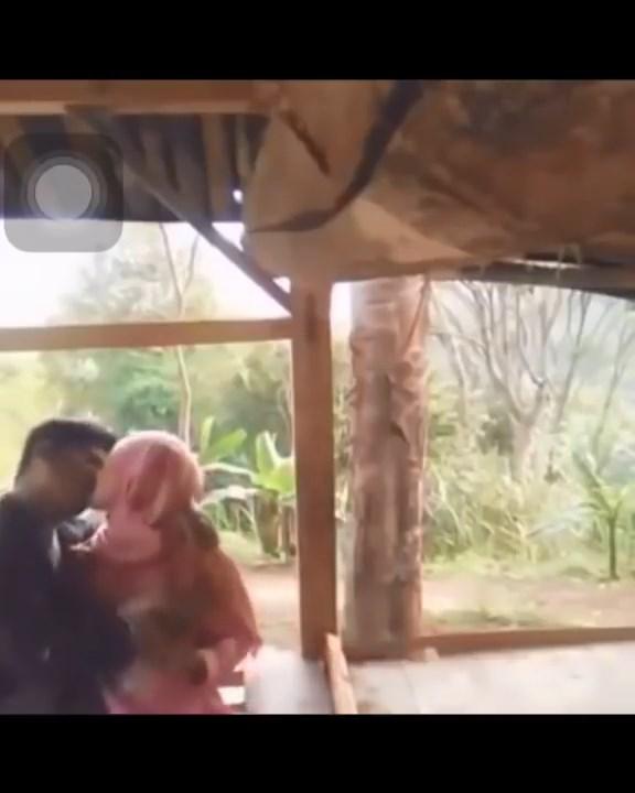 Tercyduk!!! Lagi Mesum Di Gubuk - Bokep Terbaru | Situs Bokep Untuk Nonton Video Bokep Indo Dan ...